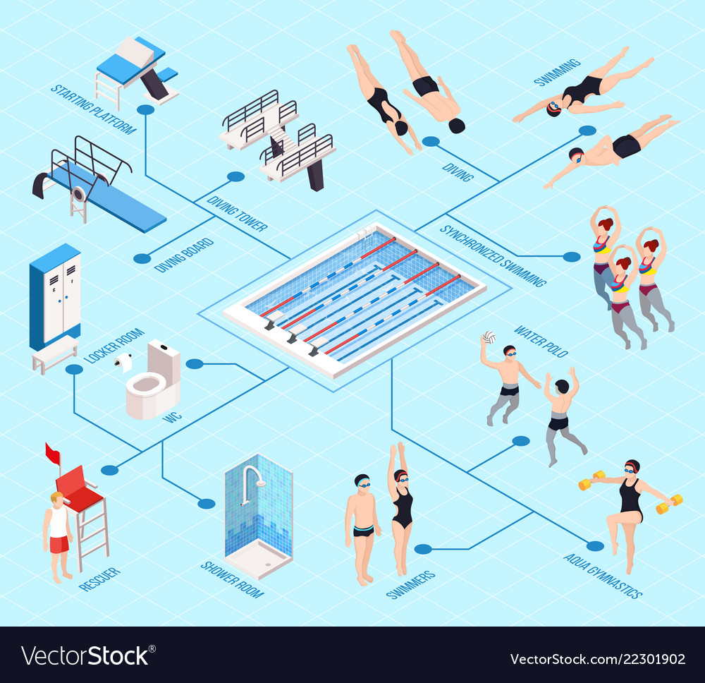 Swimming pool isometric flowchart Royalty Free Vector Image