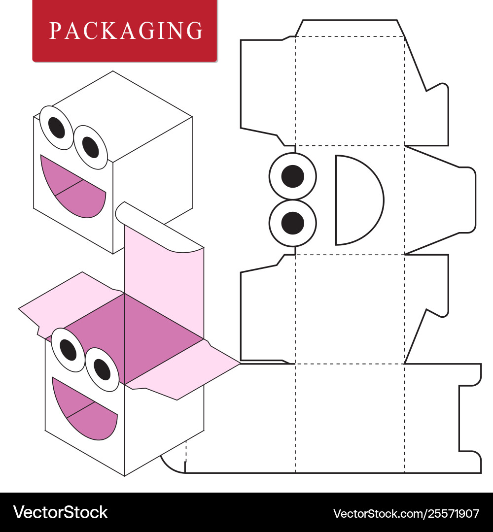 Packaging design boxpackage Royalty Free Vector Image