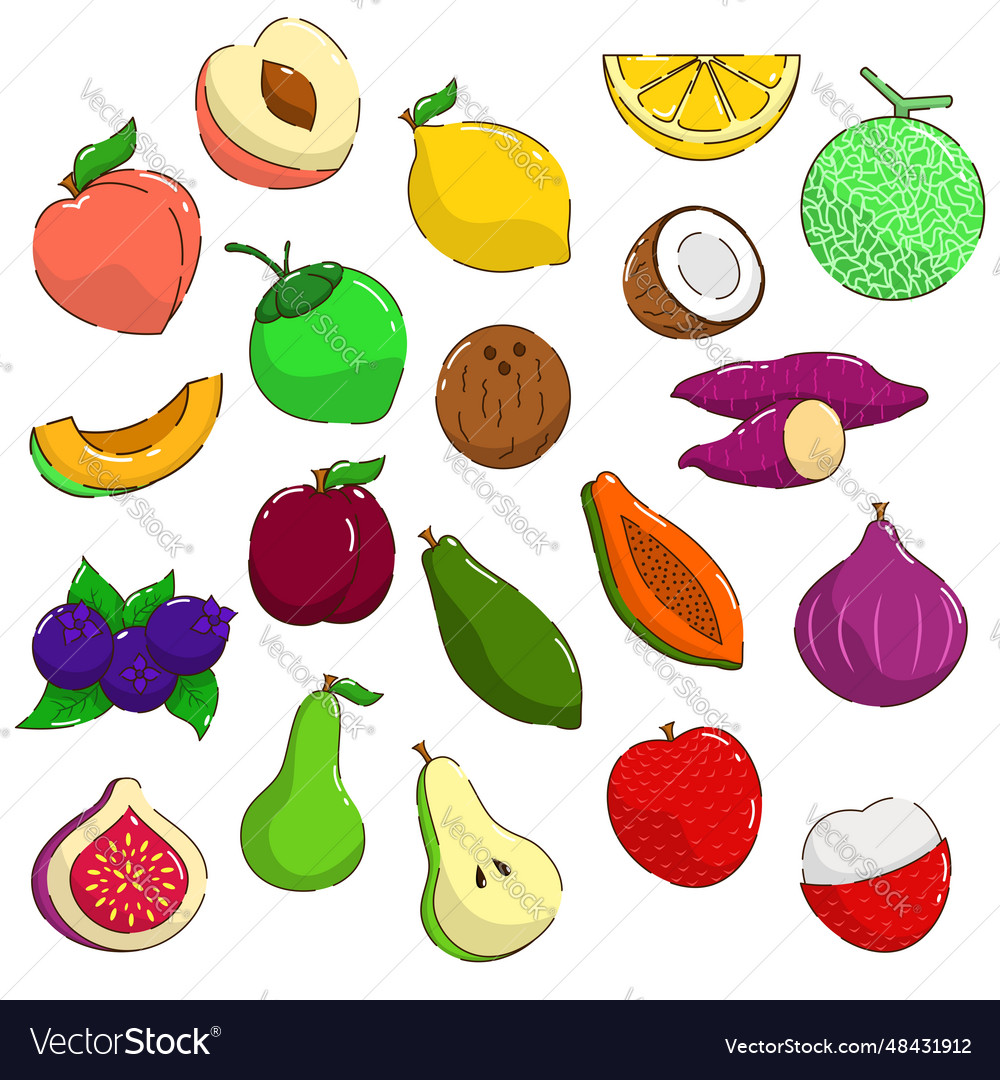 Fruit Royalty Free Vector Image - VectorStock