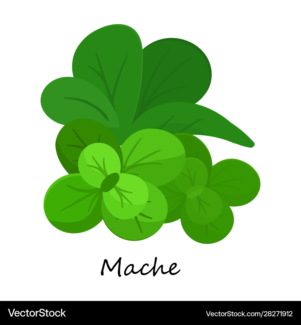Mache iconcartoon icon isolated Royalty Free Vector Image
