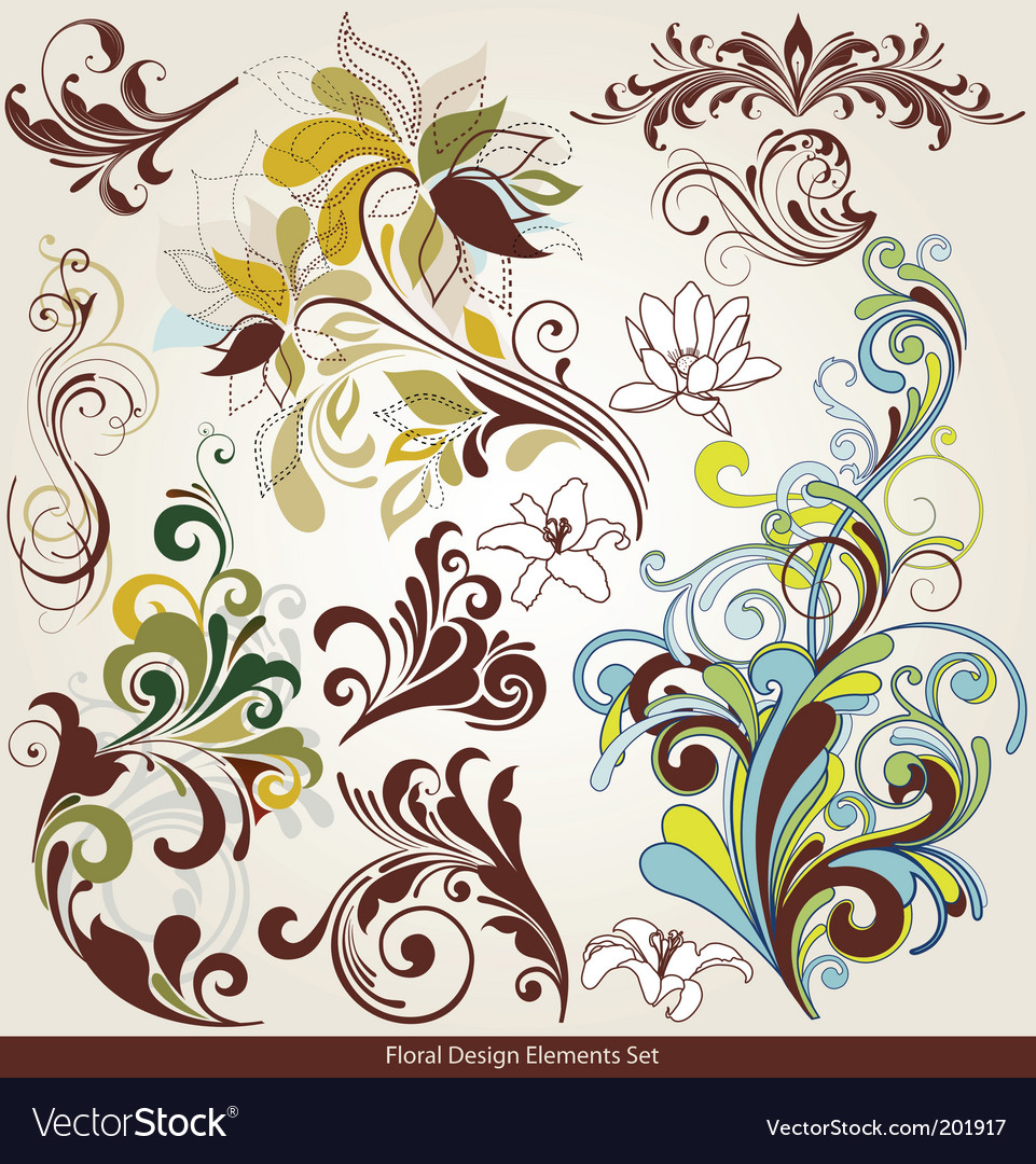 Floral design elements Royalty Free Vector Image