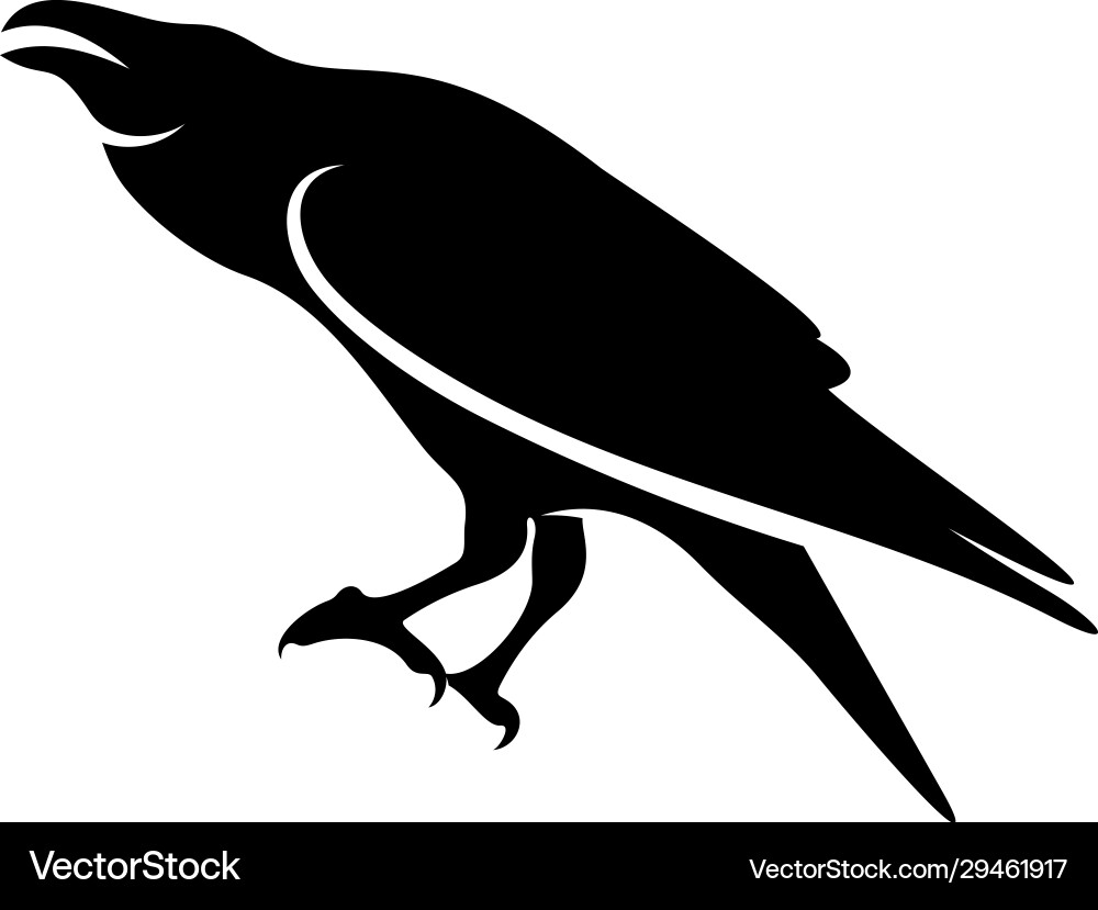 Raven bird logo template black silhouette Vector Image