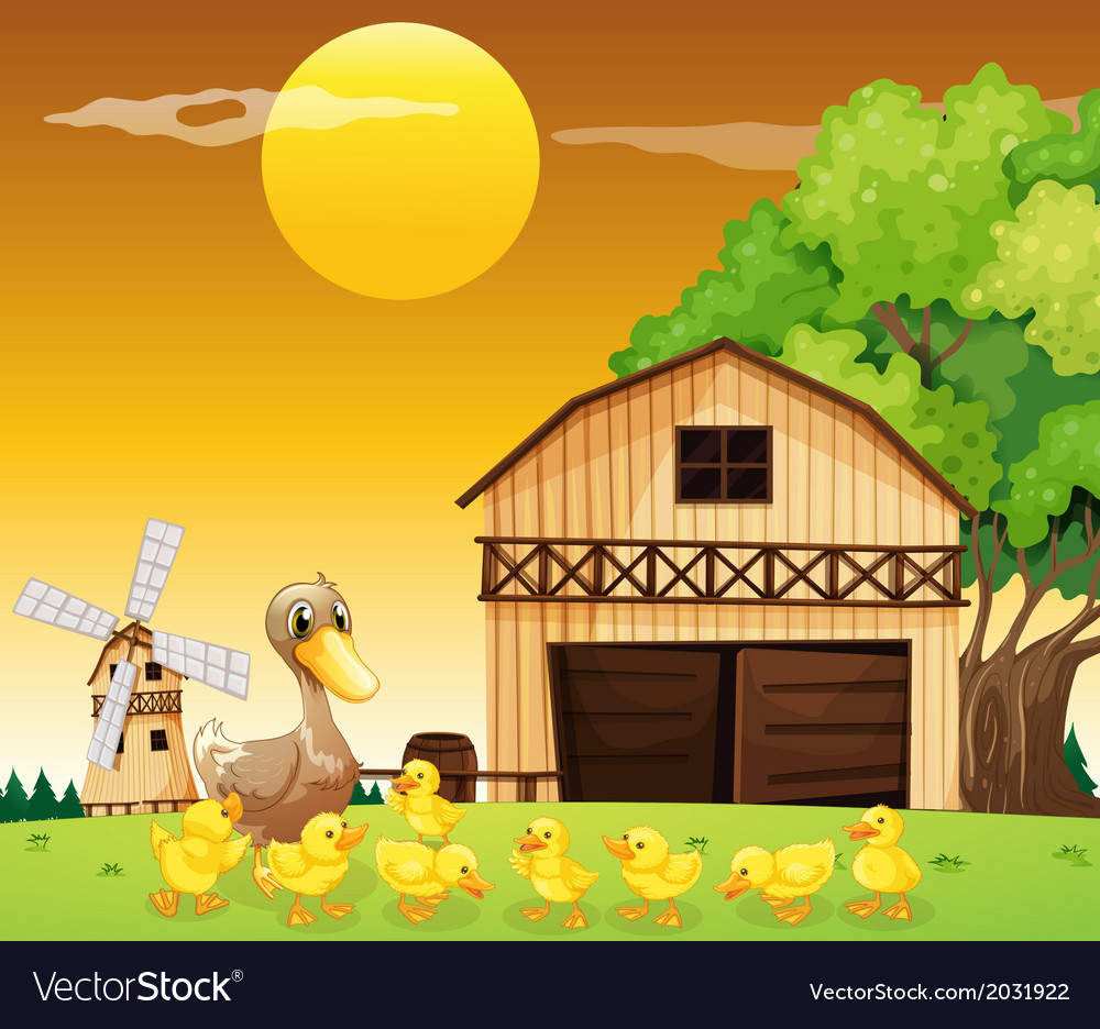 A duck and her ducklings outside farmhouse Vector Image