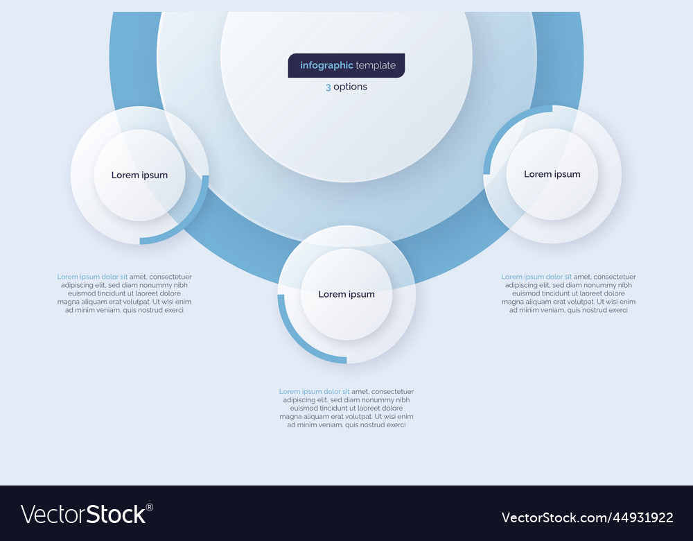 Three option circle infographic design template Vector Image