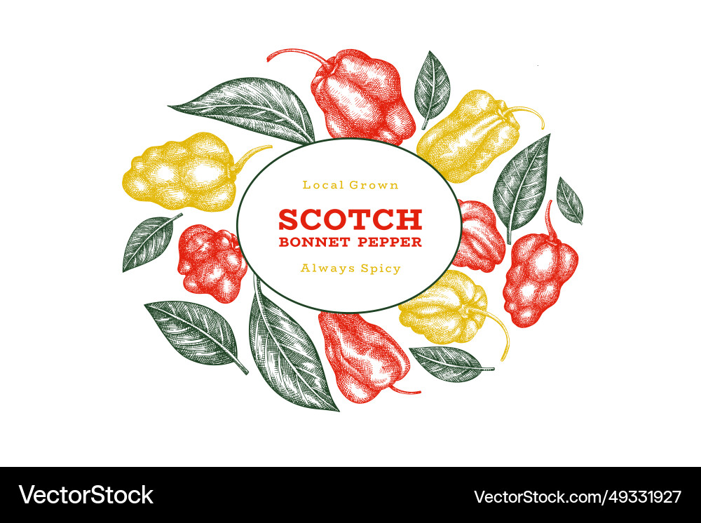 Hand drawn sketch style scotch bonnet pepper Vector Image