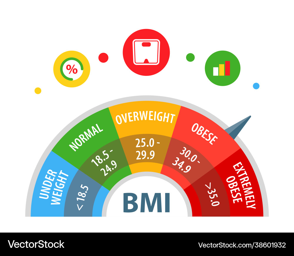 Body mass index weight index bmi Royalty Free Vector Image