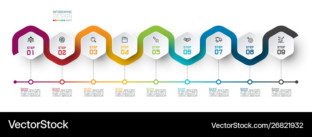 Hexagon label with color line linked infographics Vector Image