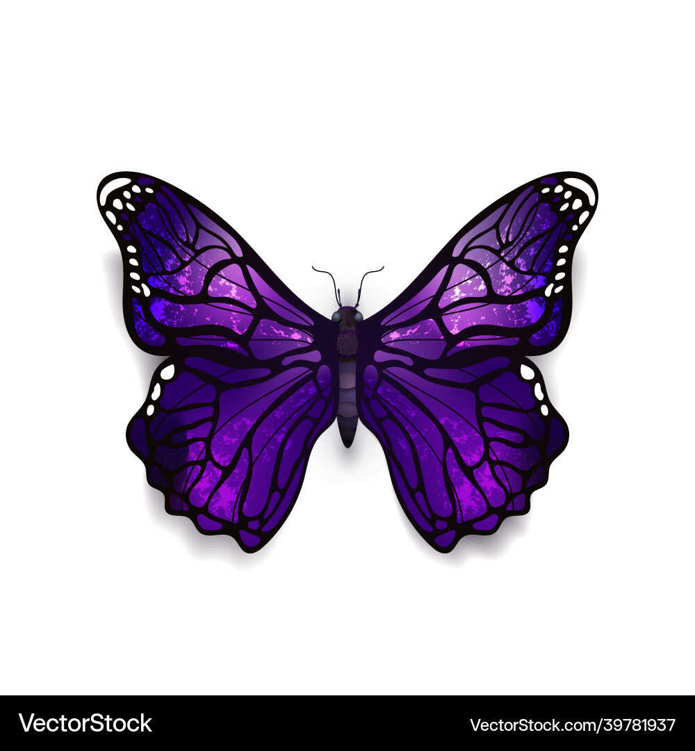 Beautiful deep purple detailed realistic magic Vector Image
