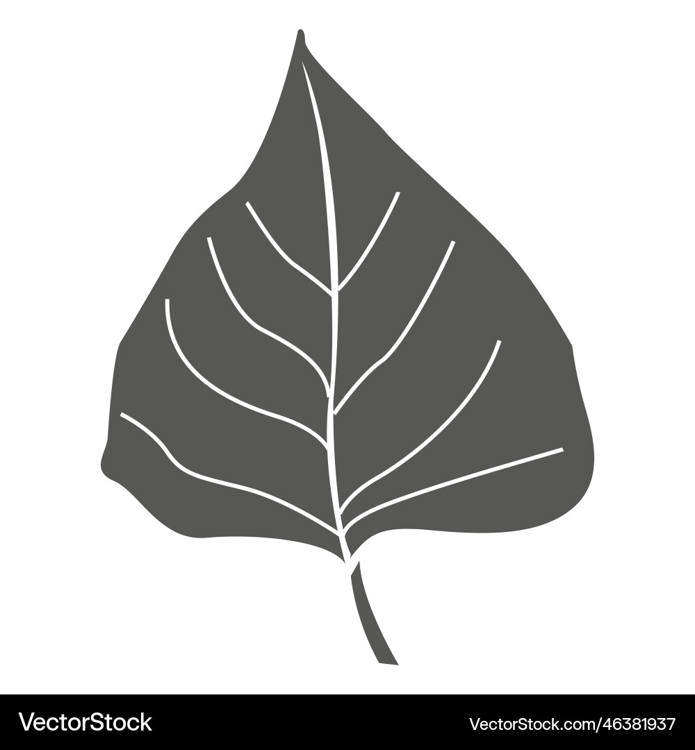 Birch line stroke leaf Royalty Free Vector Image