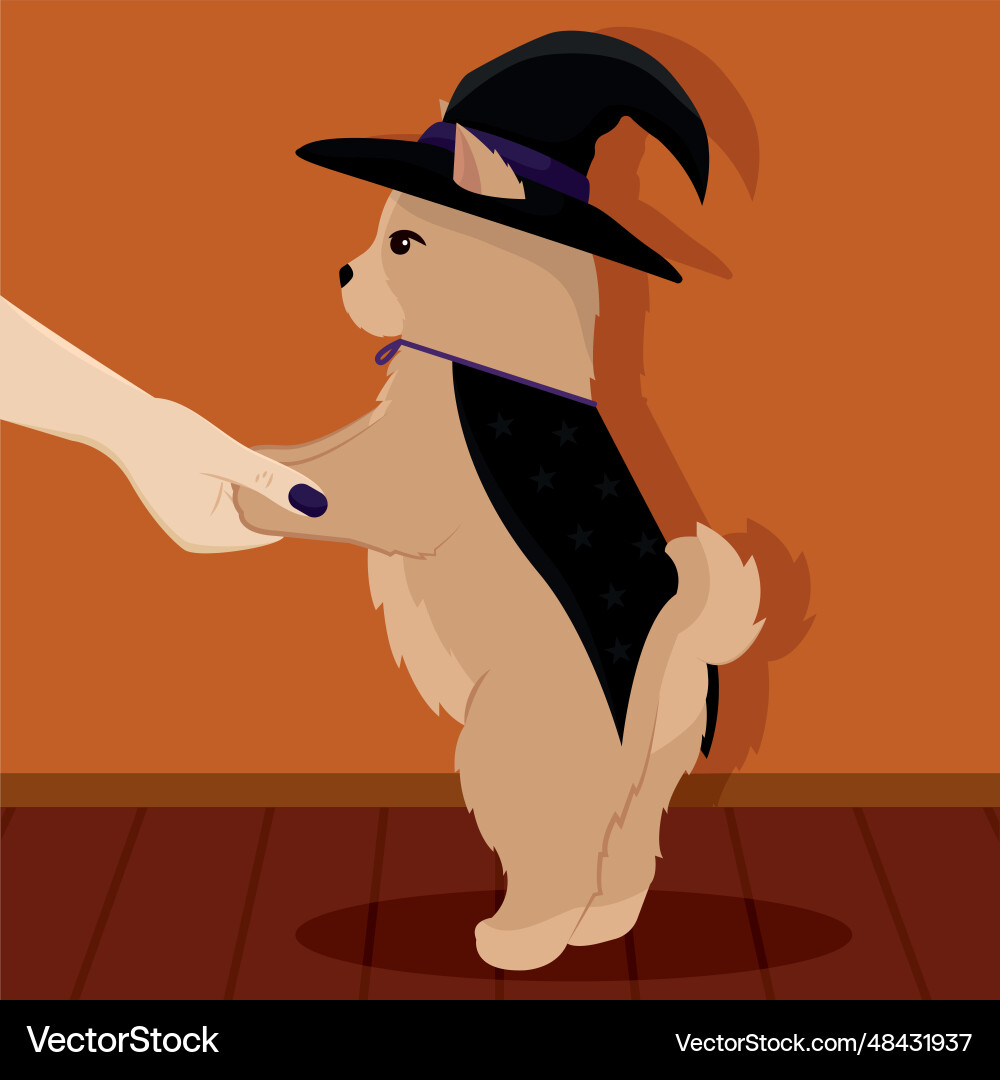 Isolated cute dog with with costume Royalty Free Vector