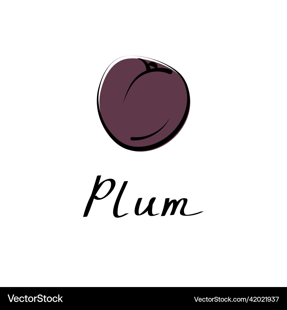 Plum hand drawn painting on white background Vector Image