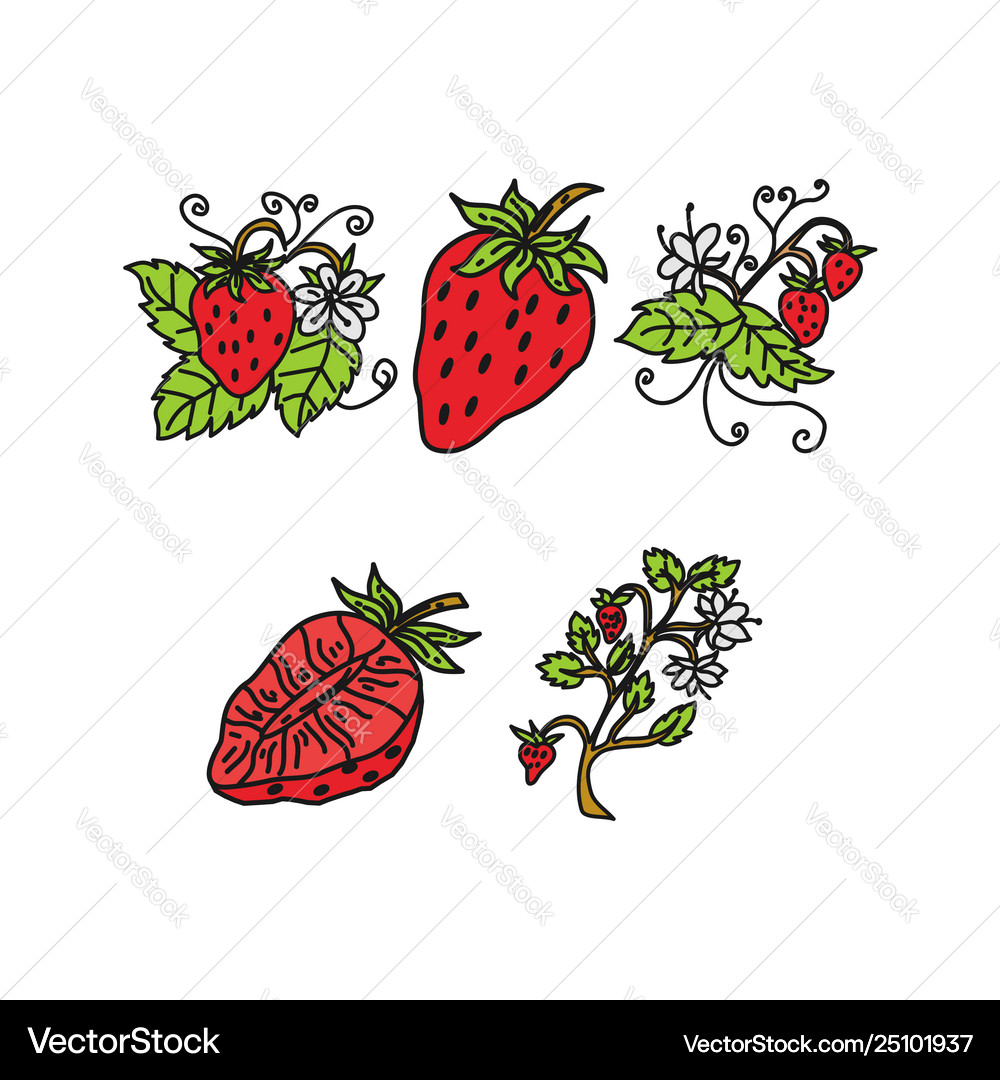 Strawberry fruit design template Royalty Free Vector Image