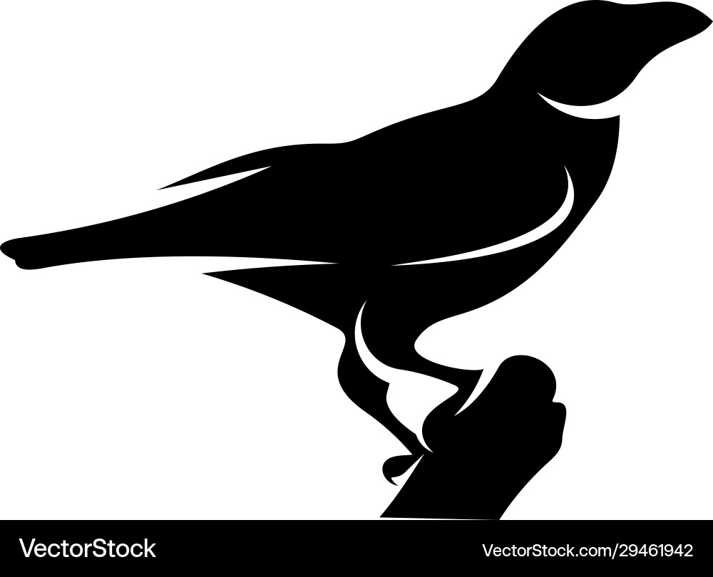 Raven bird logo template black silhouette Vector Image