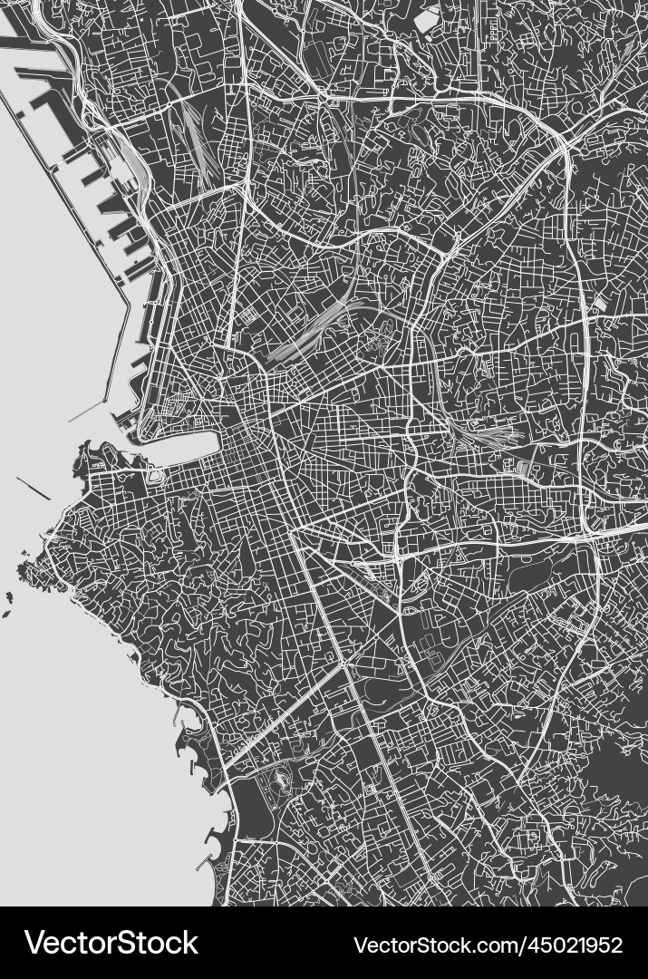 City map marseille monochrome detailed plan Vector Image