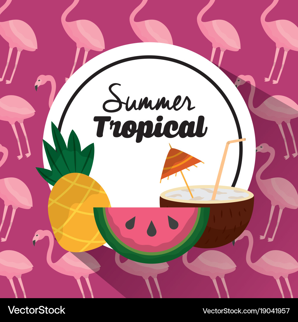 Summer tropical banner pineapple watermelon Vector Image