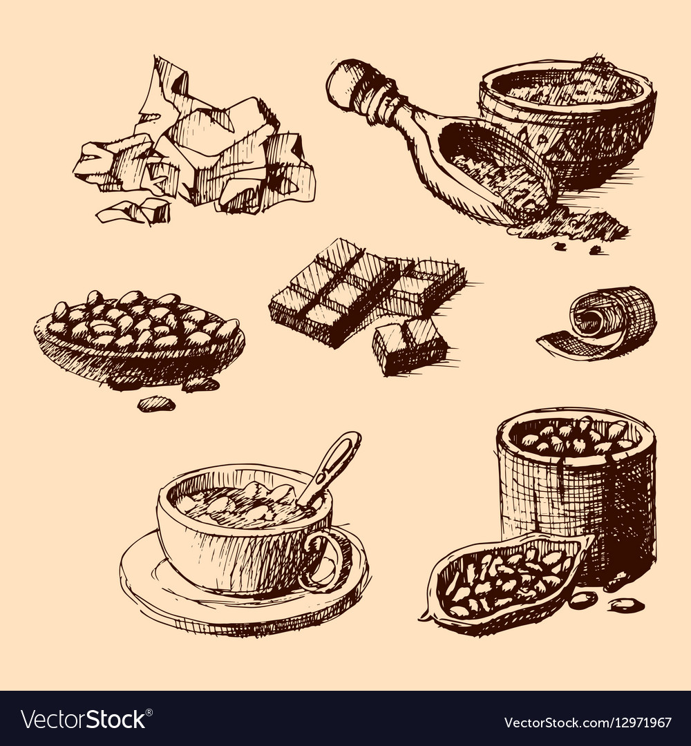 Cocoa hand drawn sketch Royalty Free Vector Image Cocoa hand drawn sketch Royalty Free Vector Image
