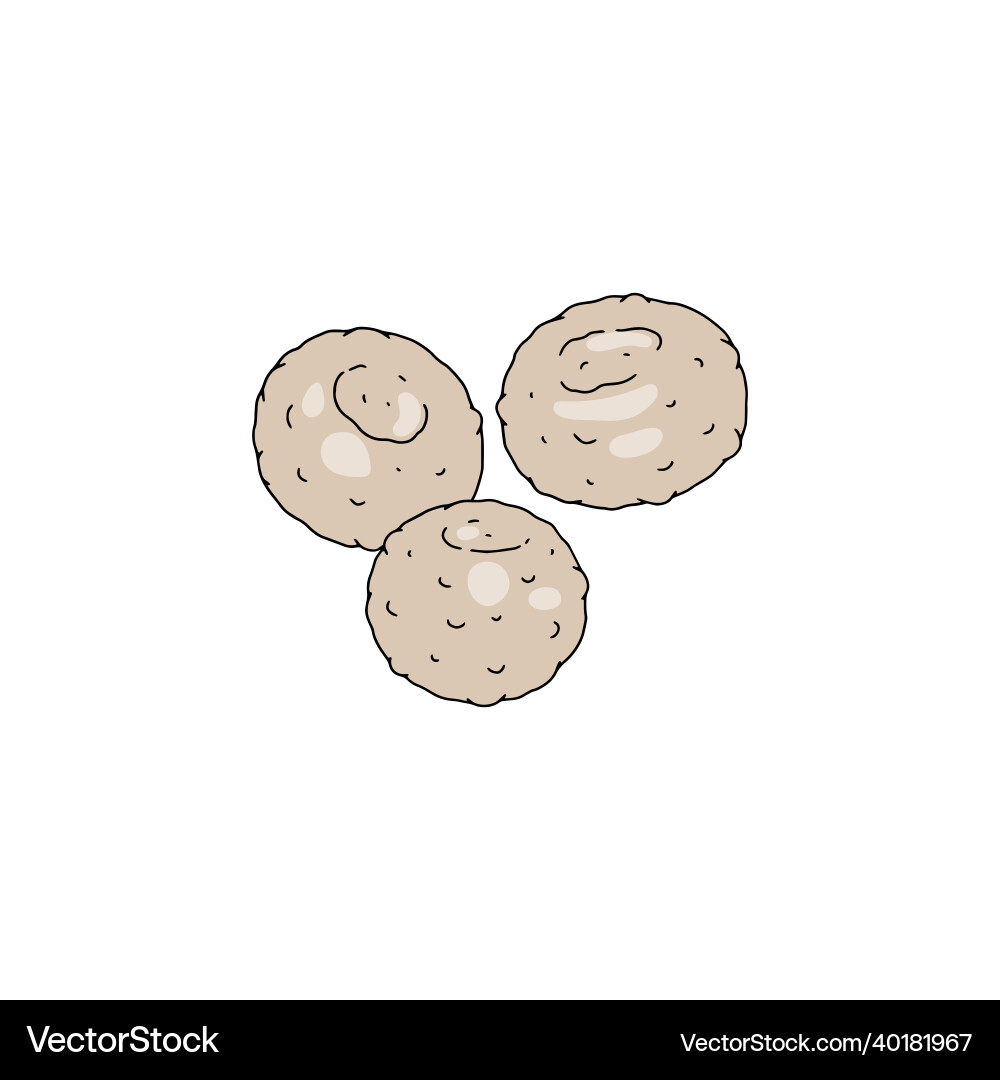Hand drawn color round-shaped dumpling or pierogi Vector Image