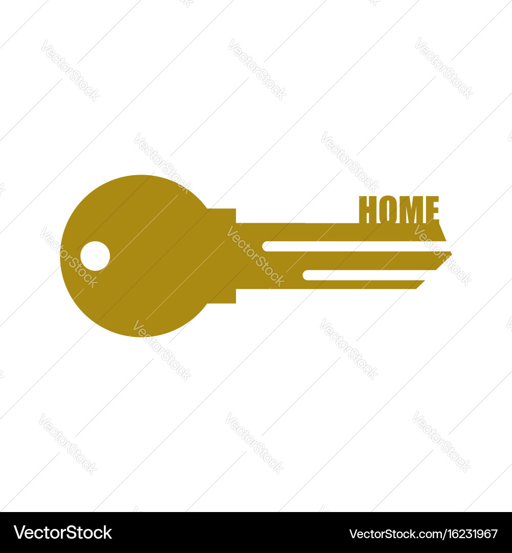 Key from door home clef isolated on white Vector Image