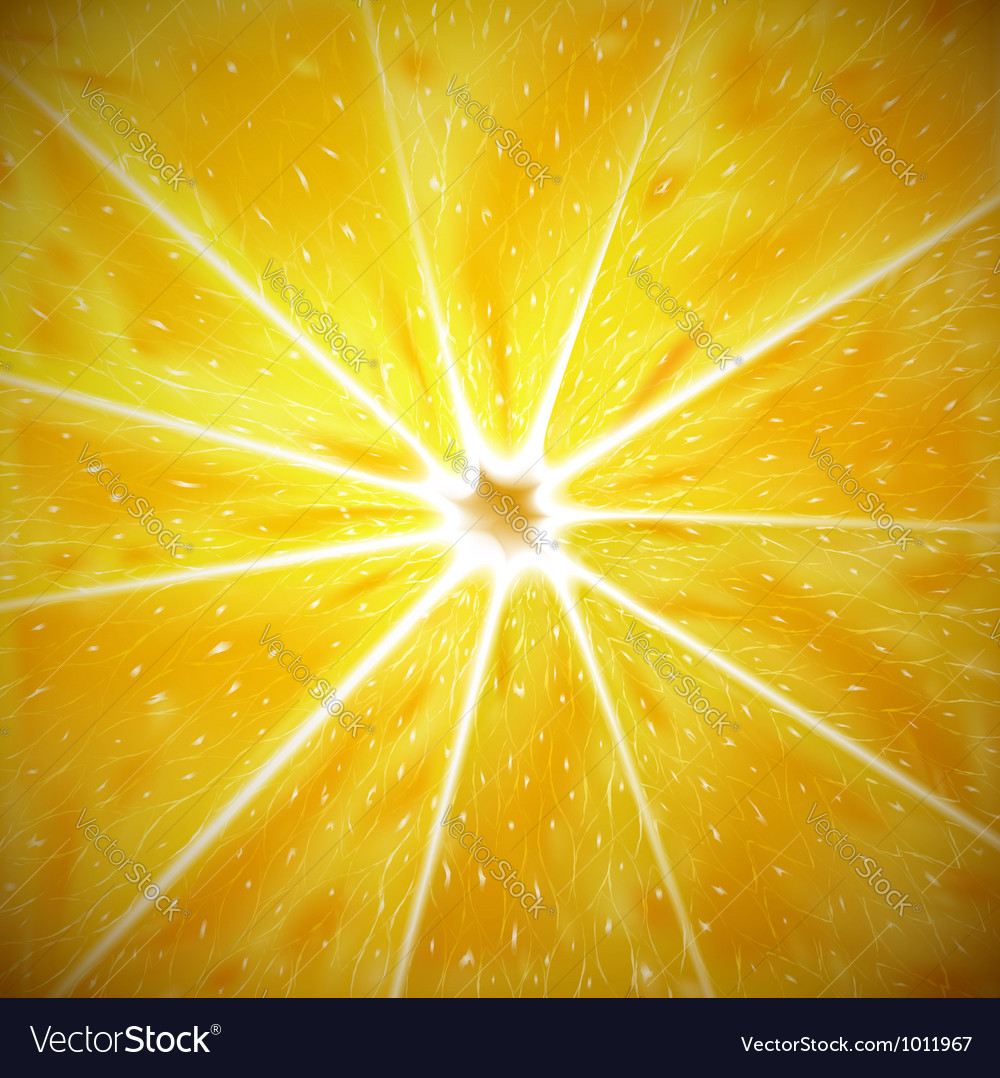 Lemon background Royalty Free Vector Image - VectorStock