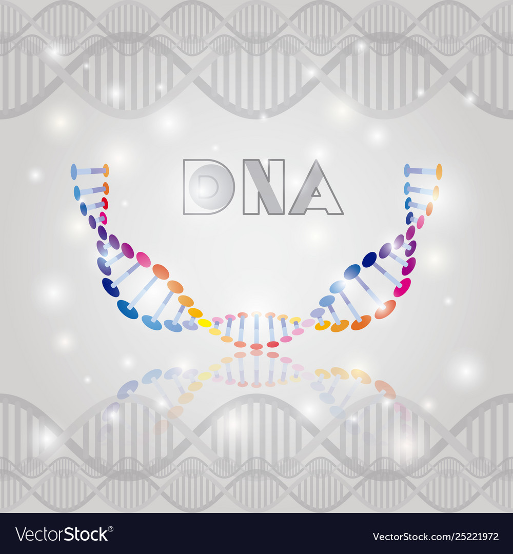Dna molecule half circle structure pattern Vector Image