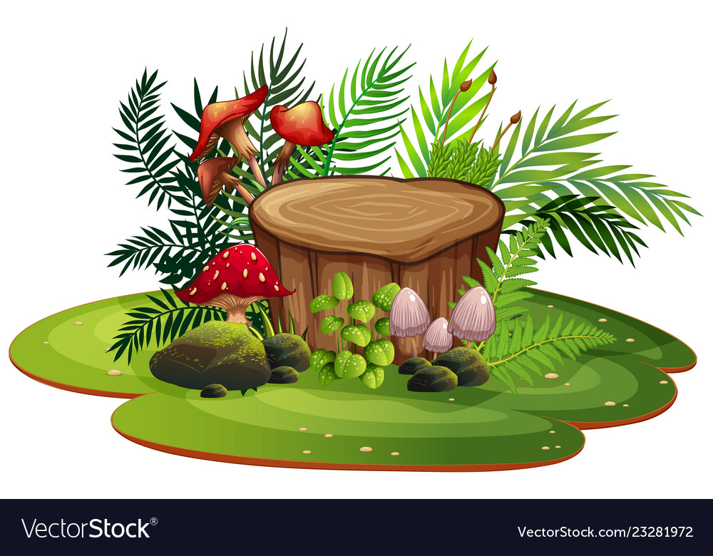 Isolated tree stump element Royalty Free Vector Image