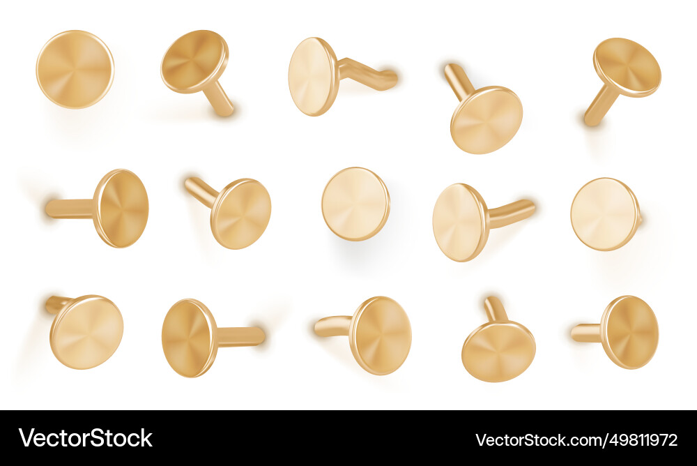 Nails hammered into wall gold pin heads Royalty Free Vector