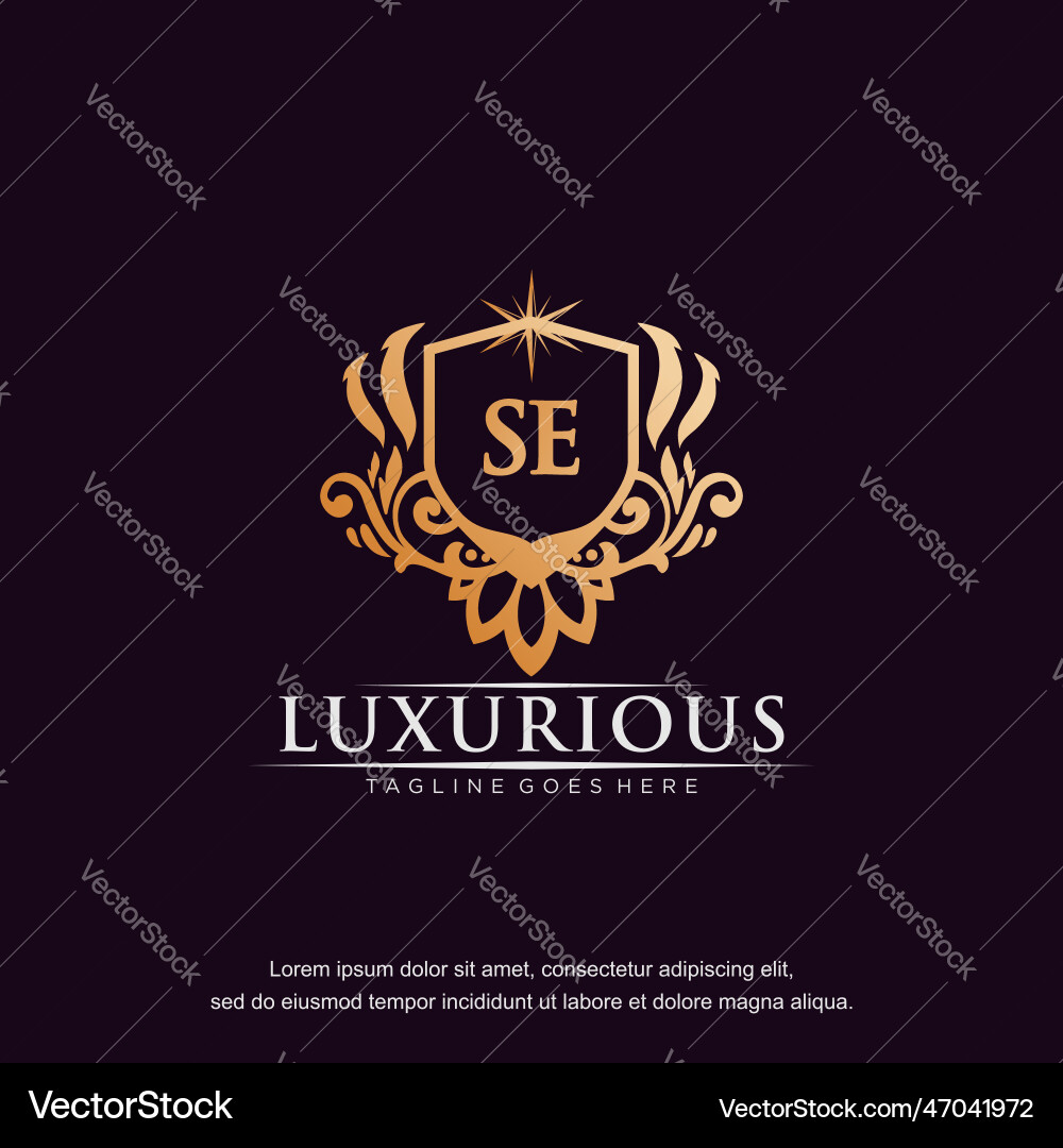 Se initial letter luxury ornament gold monogram Vector Image