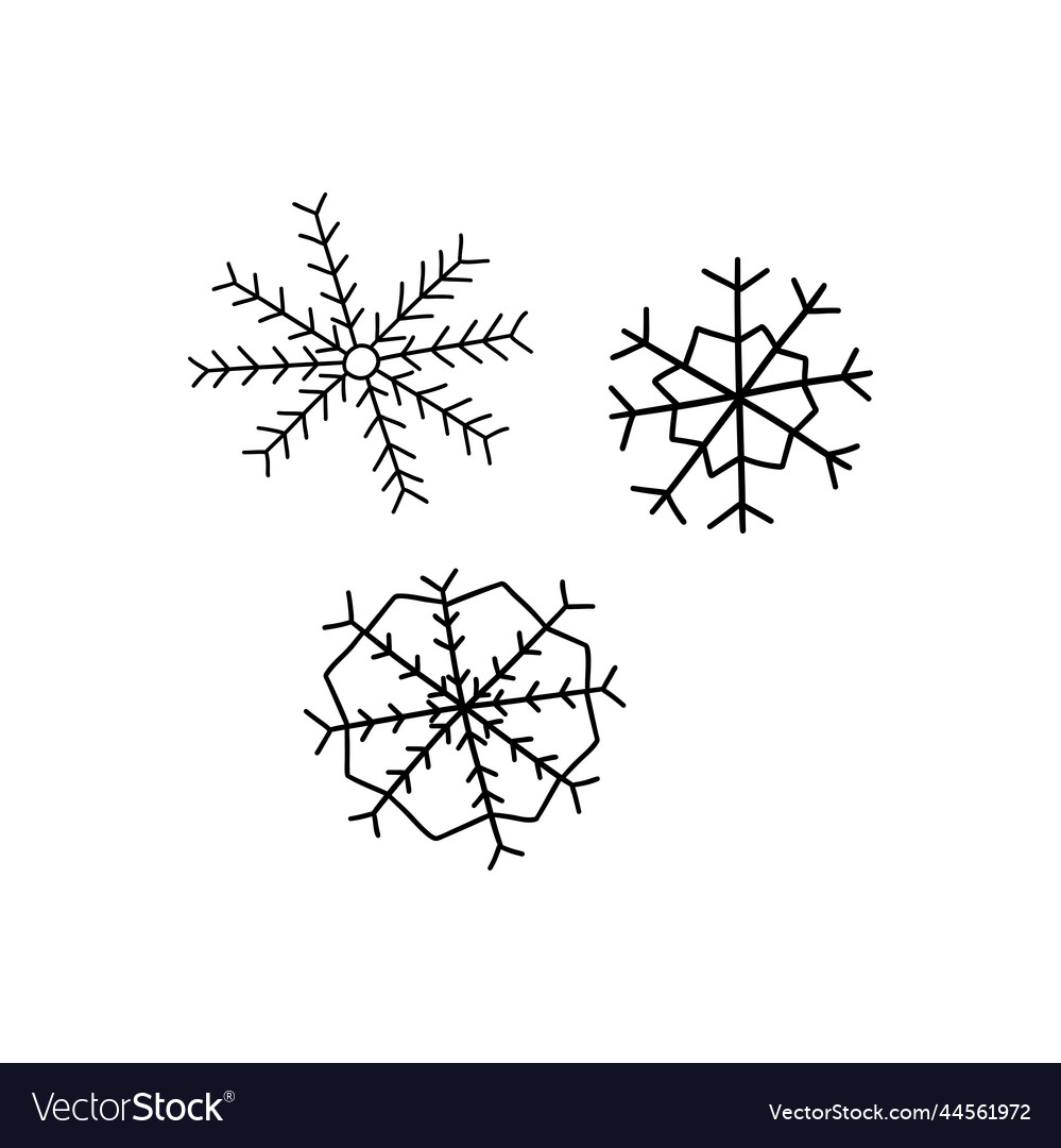 Set of three different snowflakes isolated Vector Image