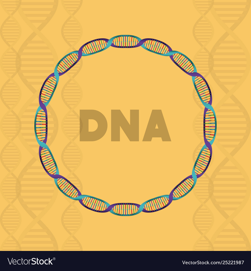Dna molecule circular structure Royalty Free Vector Image