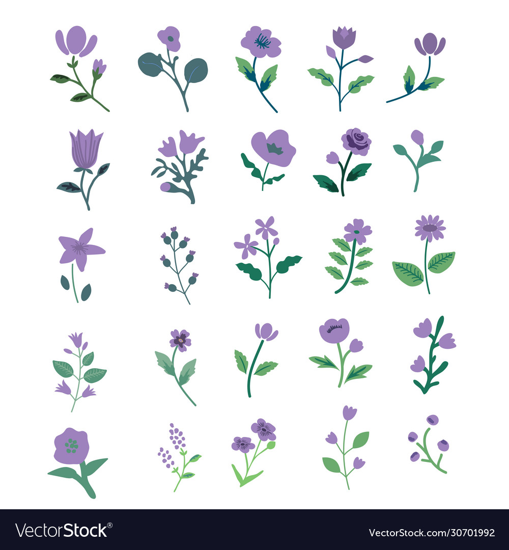 Violet flowers set Royalty Free Vector Image - VectorStock