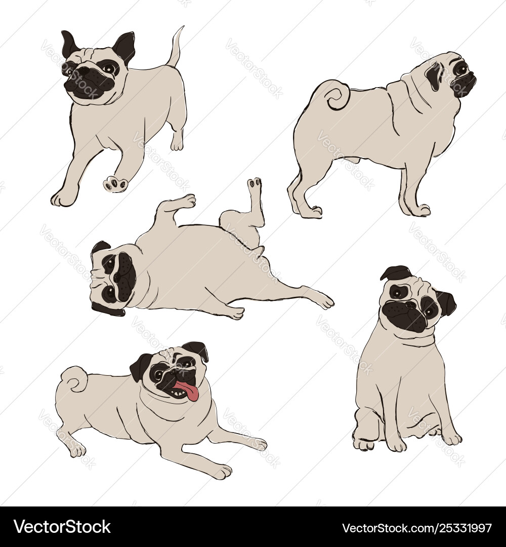 Collection pug dog icons Royalty Free Vector Image