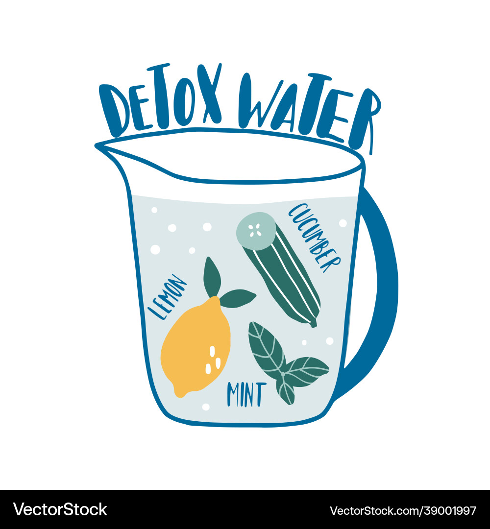Detox water with ingredients Royalty Free Vector Image