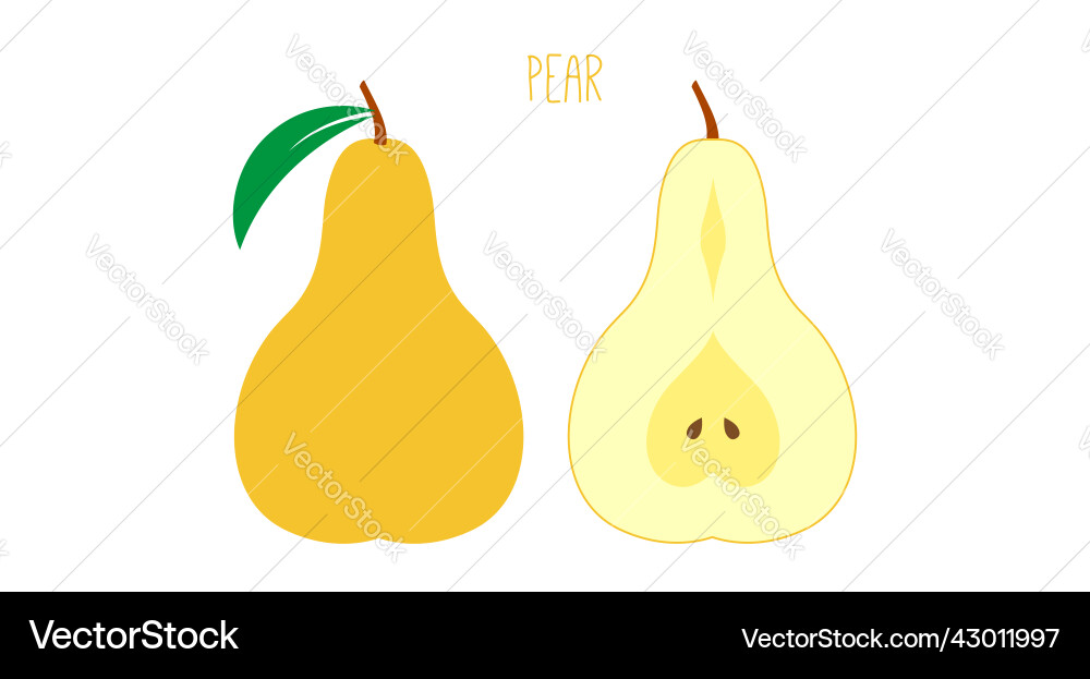 Ripe pear with leaf and core outside and cut Vector Image