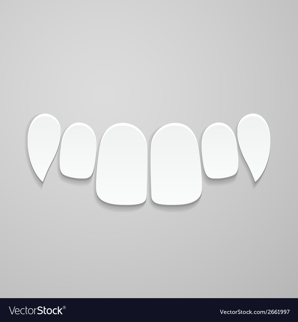 Upper front teeth Royalty Free Vector Image - VectorStock
