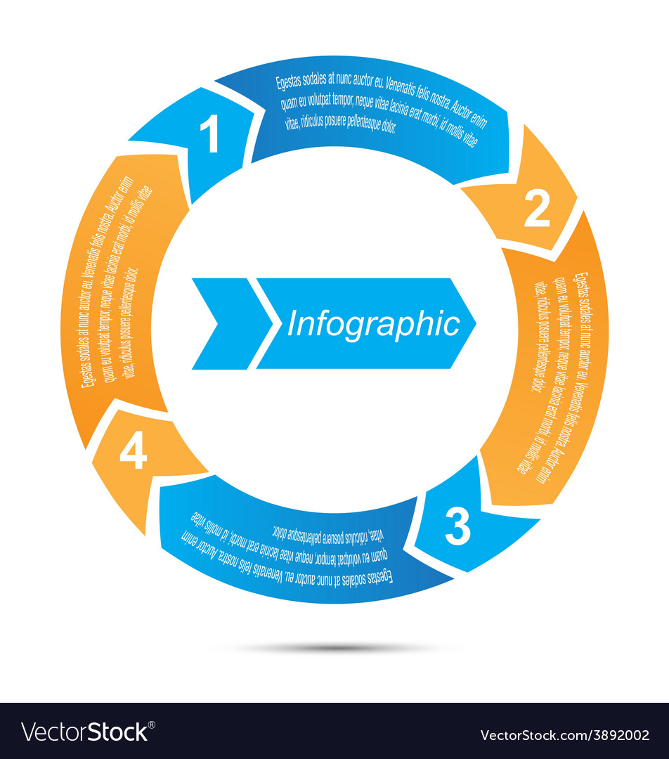 Circle infographic Royalty Free Vector Image - VectorStock