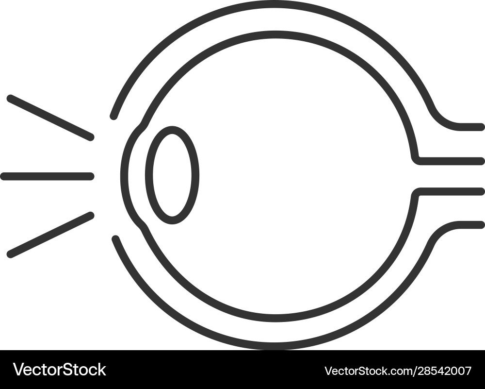 Eye anatomy linear icon Royalty Free Vector Image