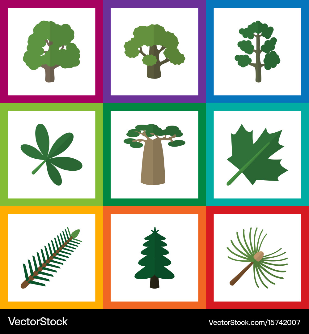 Flat icon nature set spruce leaves rosemary Vector Image