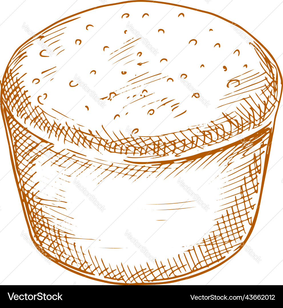 Bread with caraway seeds round loaf drawn sketch Vector Image