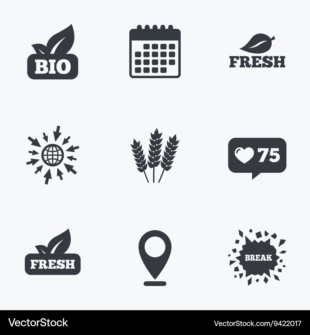 Natural fresh bio food icons Royalty Free Vector Image