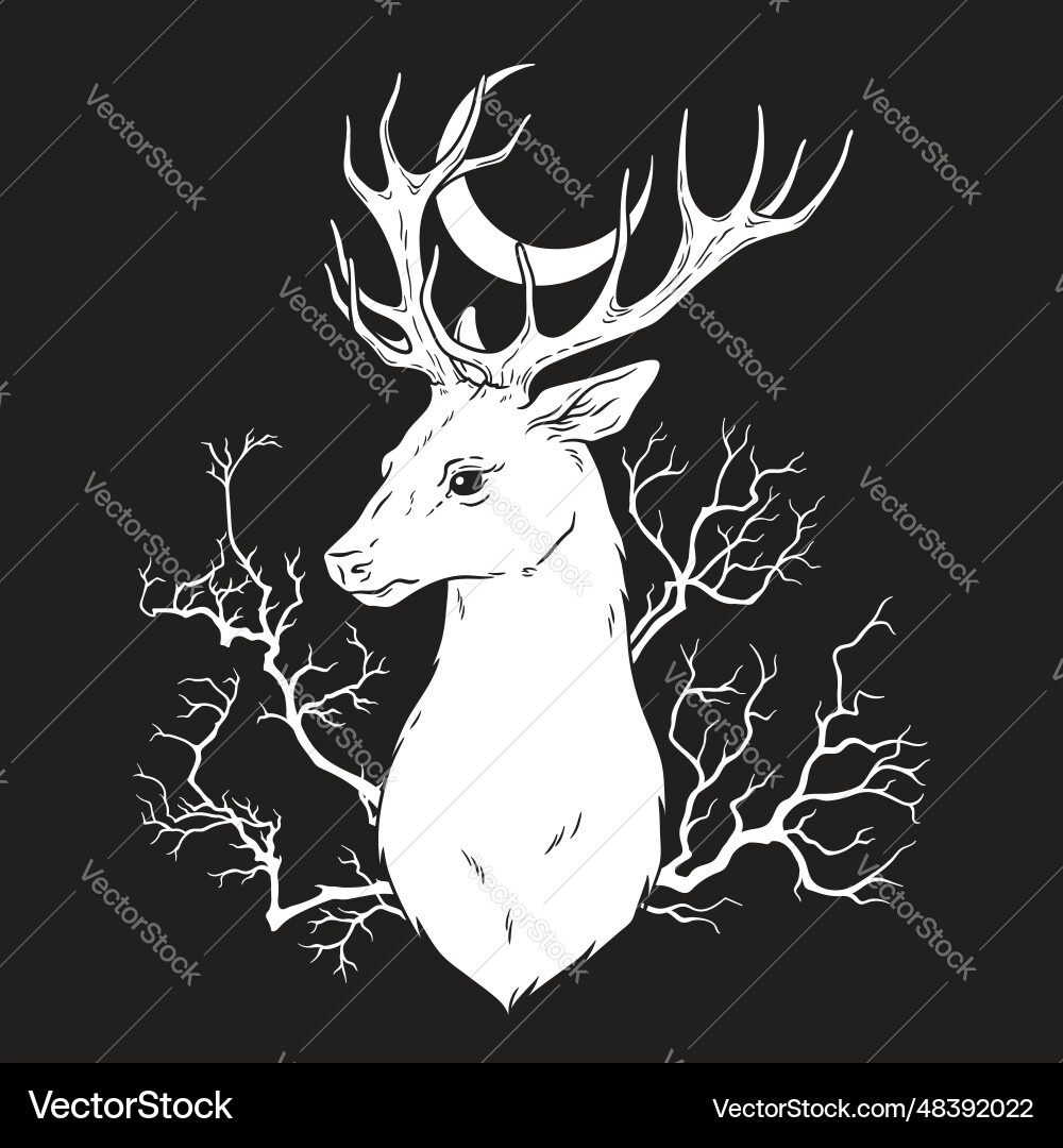 Hand drawn deer in the forest with crescent moon Vector Image