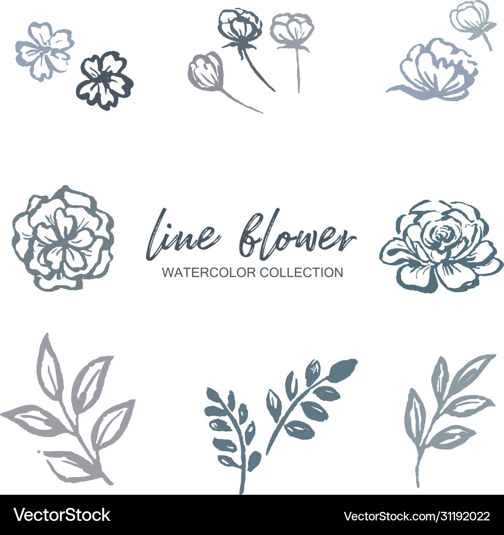 Line flower watercolor design foliage Royalty Free Vector