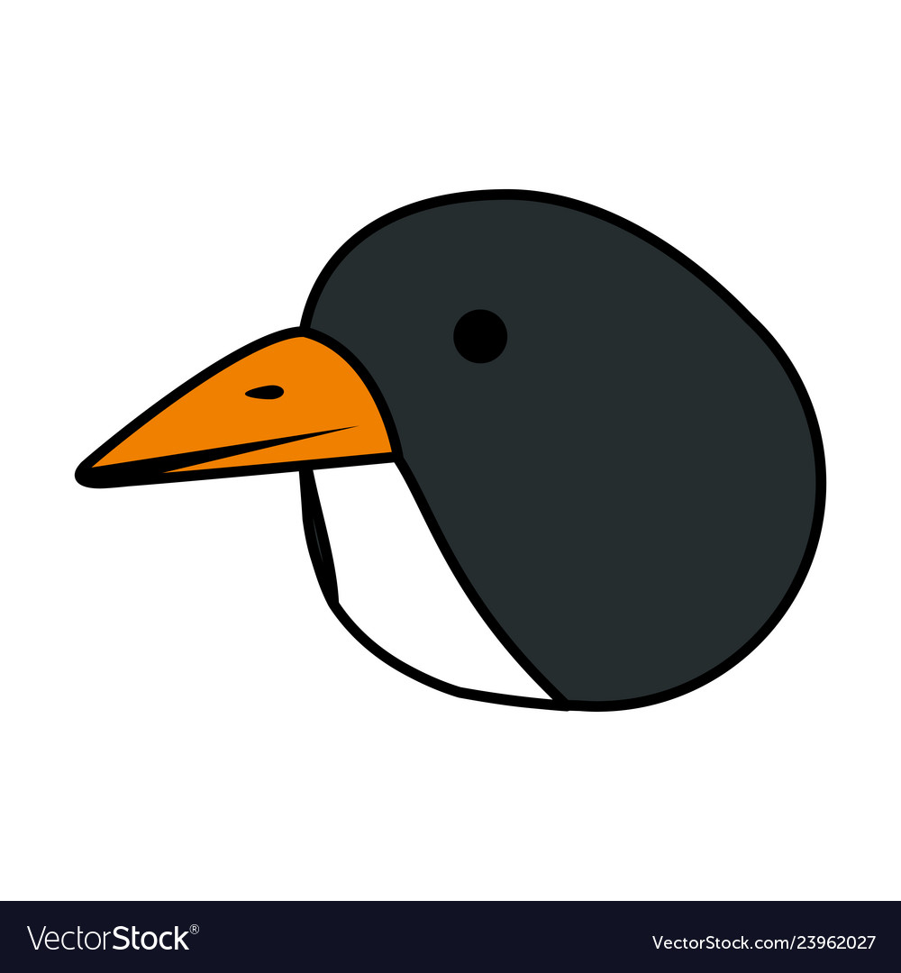 Cute penguin bird character Royalty Free Vector Image