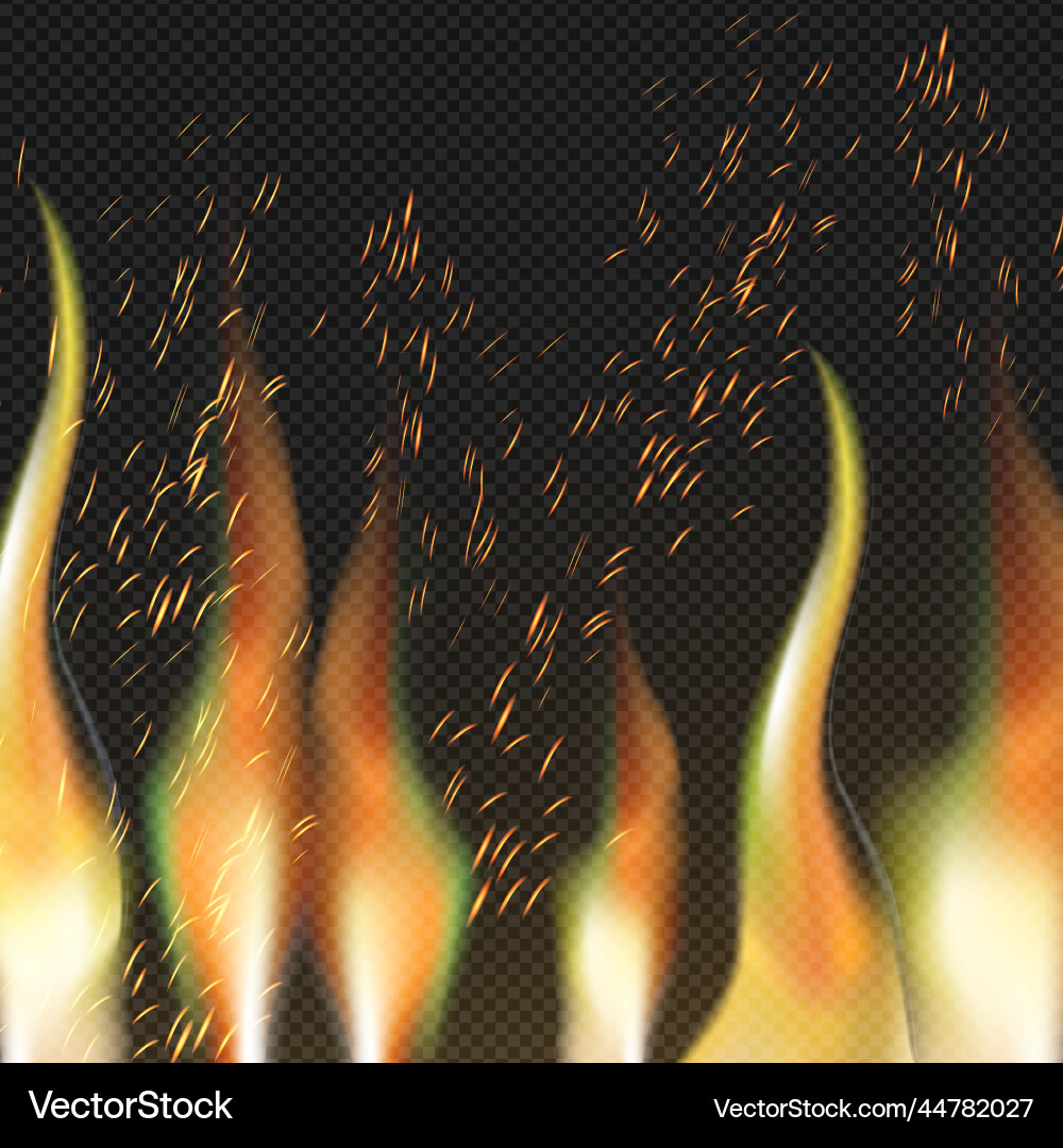 Realistic red-yellow fire on a dark background Vector Image