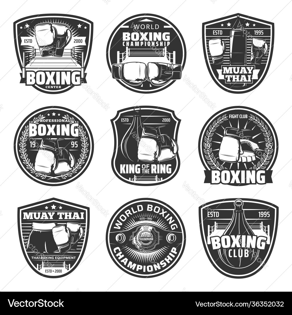 Boxing and muay thai single combats icons Vector Image