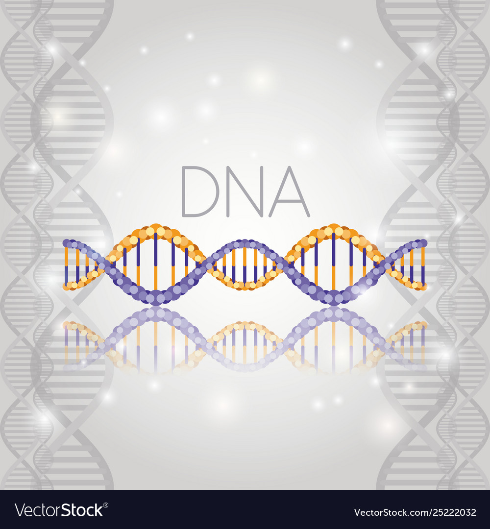 Dna molecule on line structure pattern Royalty Free Vector