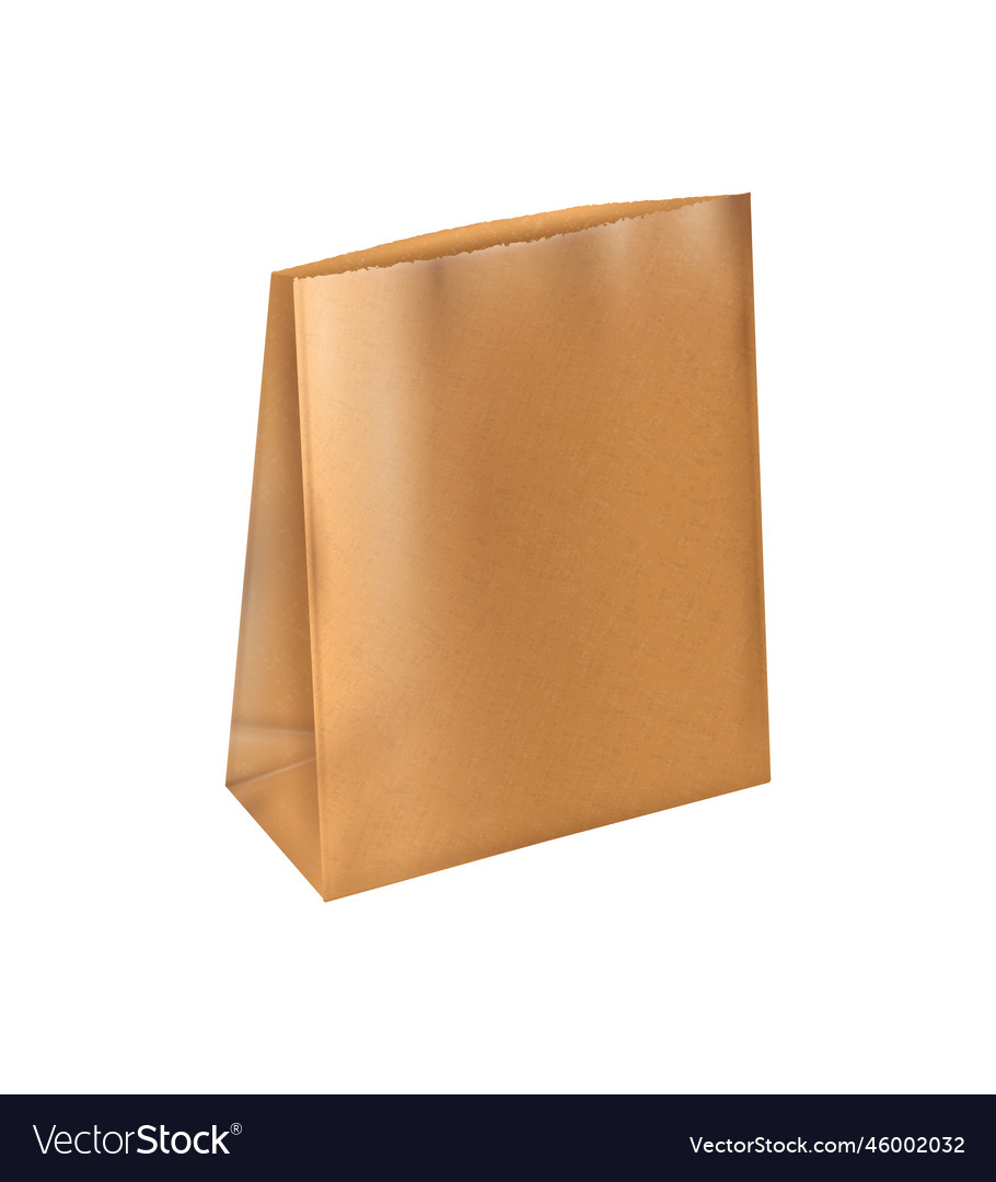 Household paper bag composition Royalty Free Vector Image