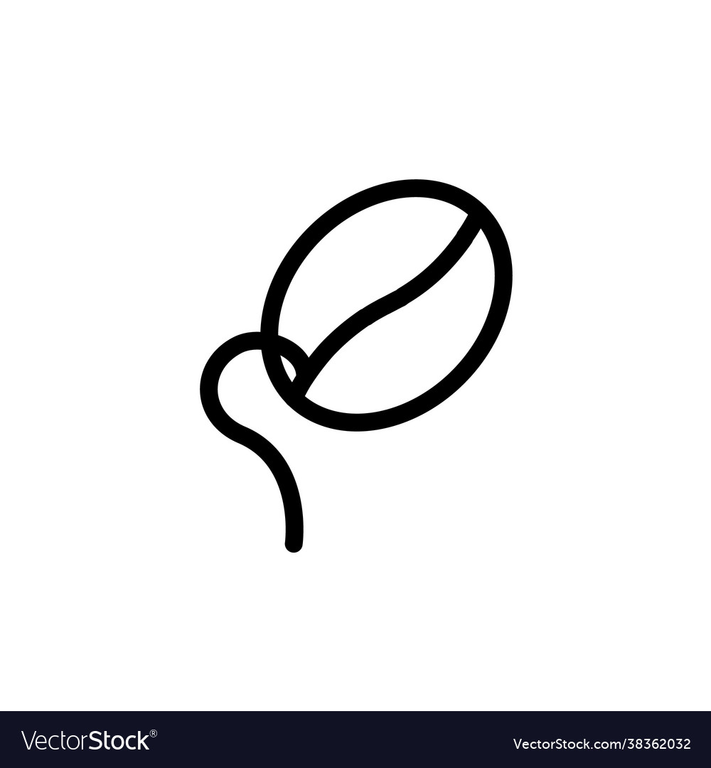 Seed Royalty Free Vector Image - VectorStock