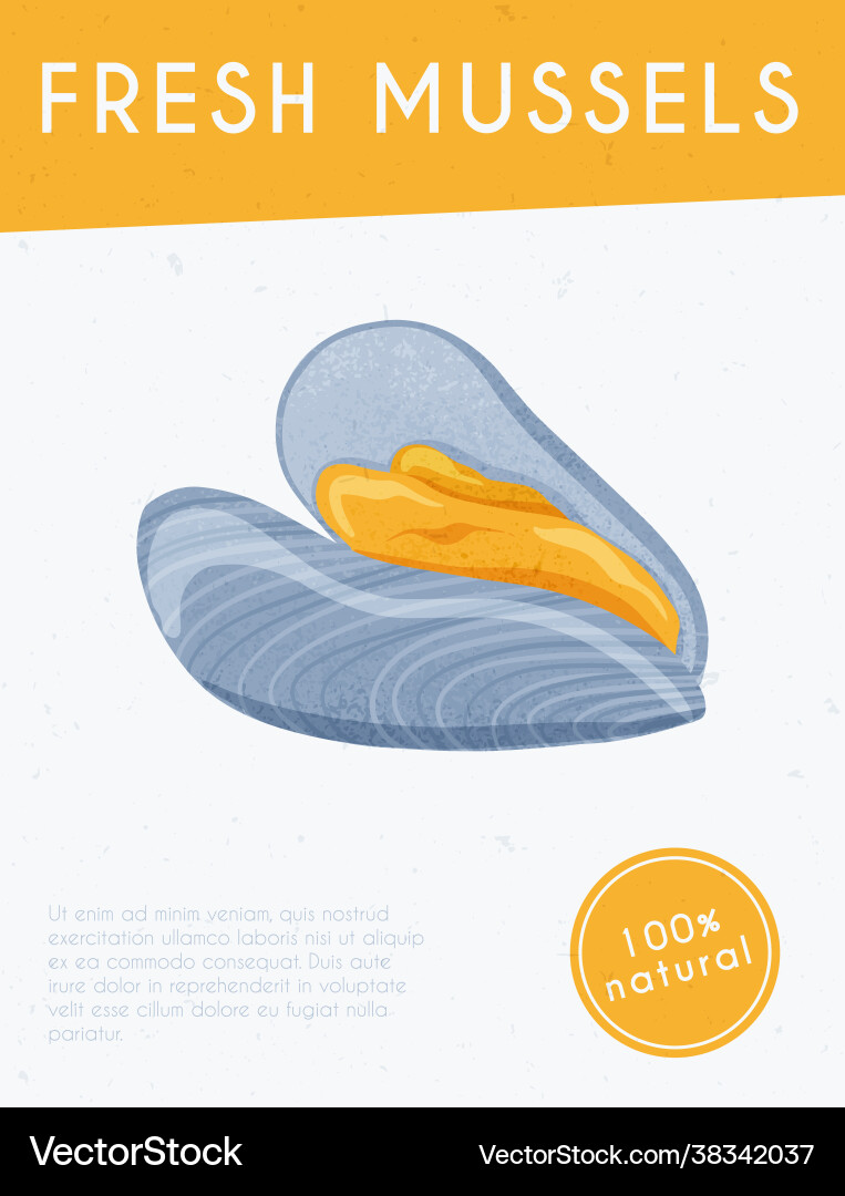 Fresh tasty seafood clams shellfish in seashells Vector Image