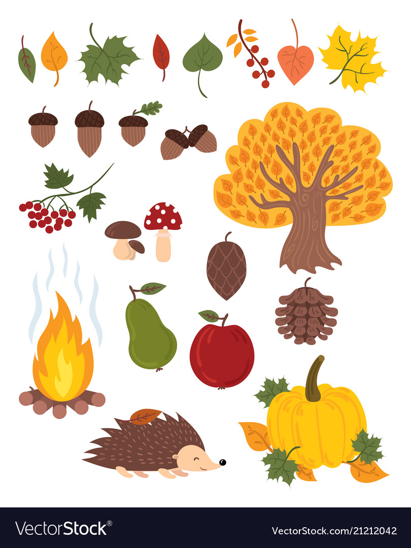 Set autumn elements collection autumn Royalty Free Vector Set autumn elements collection autumn Royalty Free Vector