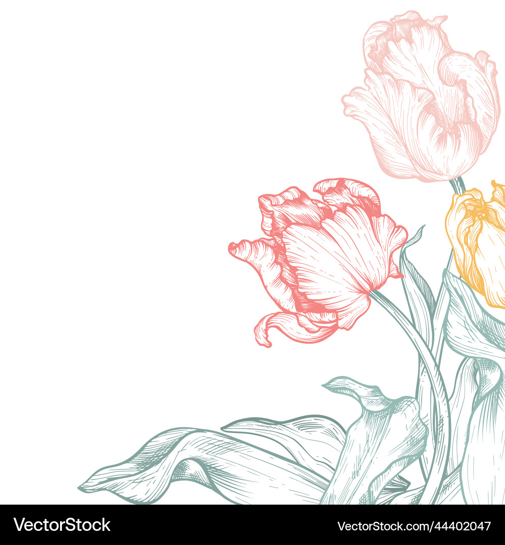 Beautiful hand drawn corner composition Royalty Free Vector